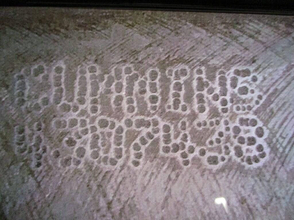 CUMMINS ISX15 Fuel Pump (Injection) OEM# 4307438 in CRANDALL, TX #77454