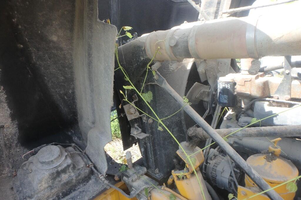 MACK RD690S Radiator in DES MOINES, IA #29290